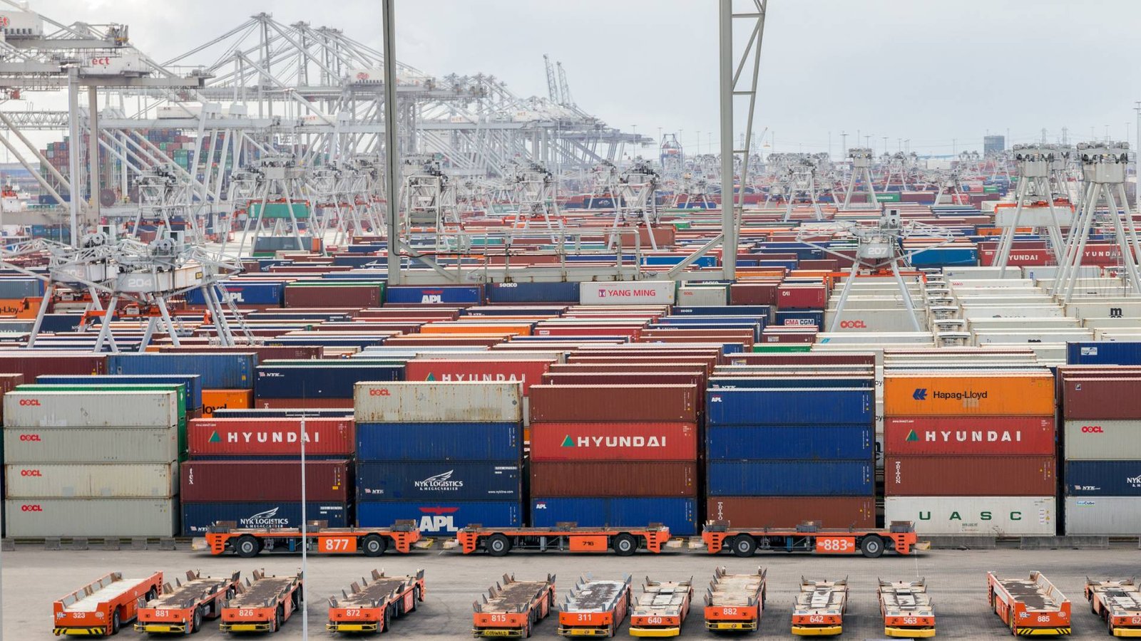 DG Cargo Inspection - Remote Cargo Inspection